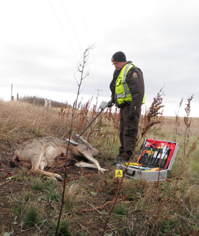 HISTORY OF CONSERVATION OFFICERS – Saskatchewan Association of ...